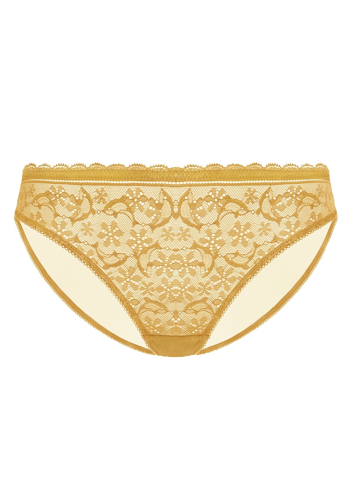 HSIA Anemone Lace Mesh Dolphin Mid-low Rise Comfy Bikini Underwear