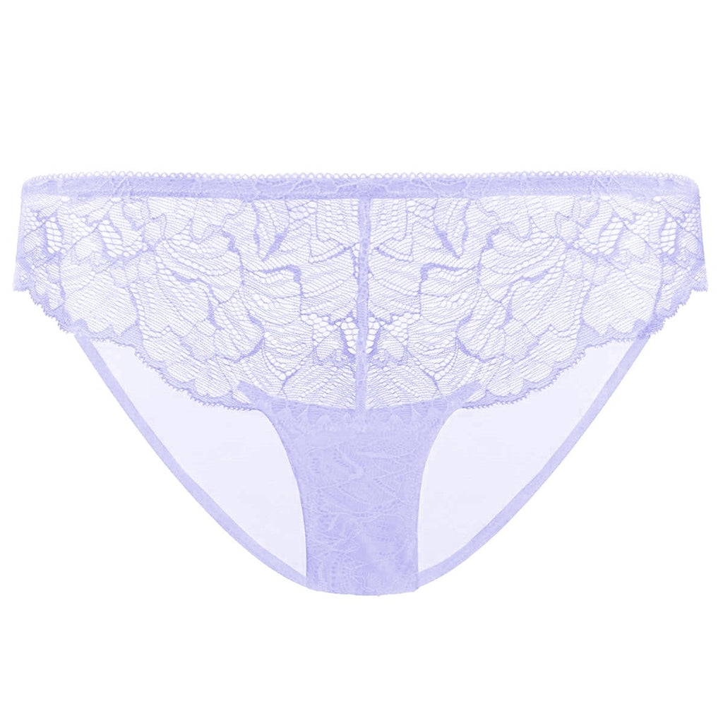HSIA Blossom Sheer Lace and Mesh Bikini Underwear