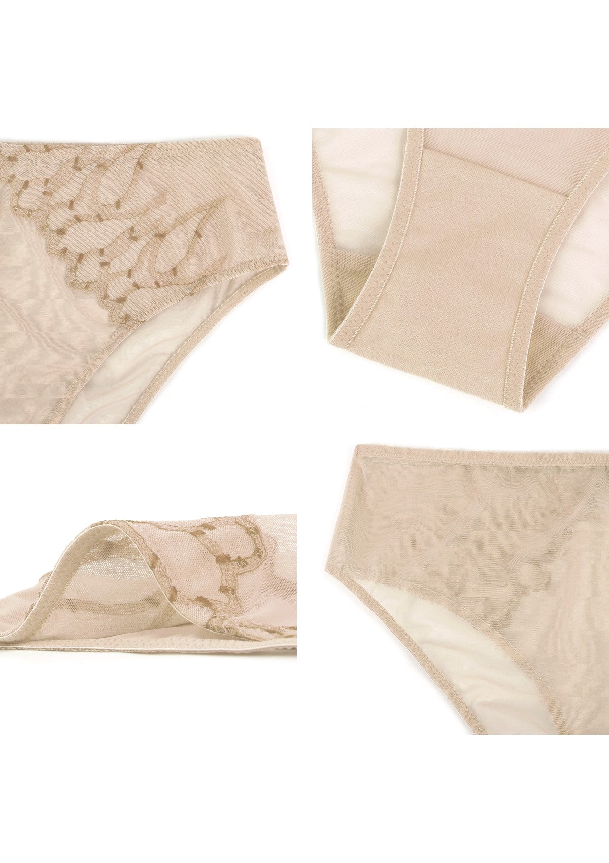 Winter Sonata Embroidered High-Rise Sheer Mesh Lace Bikini Undewear – HSIA